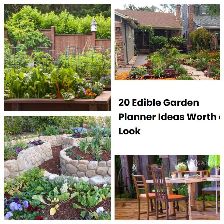 25 Bridges Over Small Stream Garden Ideas You Cannot Miss | SharonSable