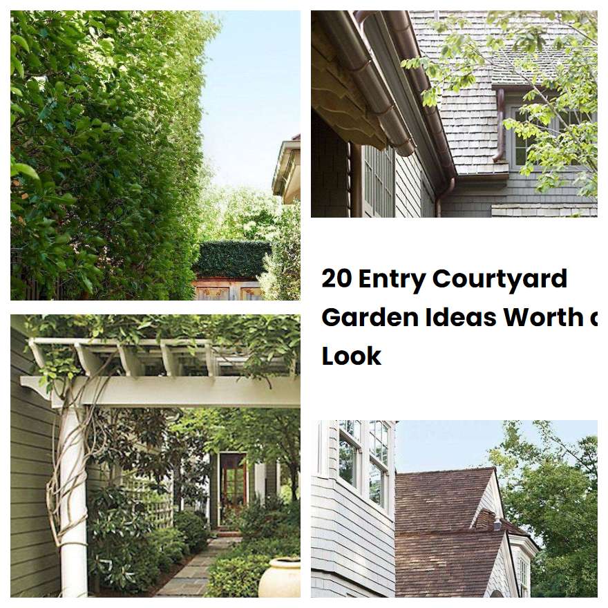 20 Entry Courtyard Garden Ideas Worth a Look | SharonSable