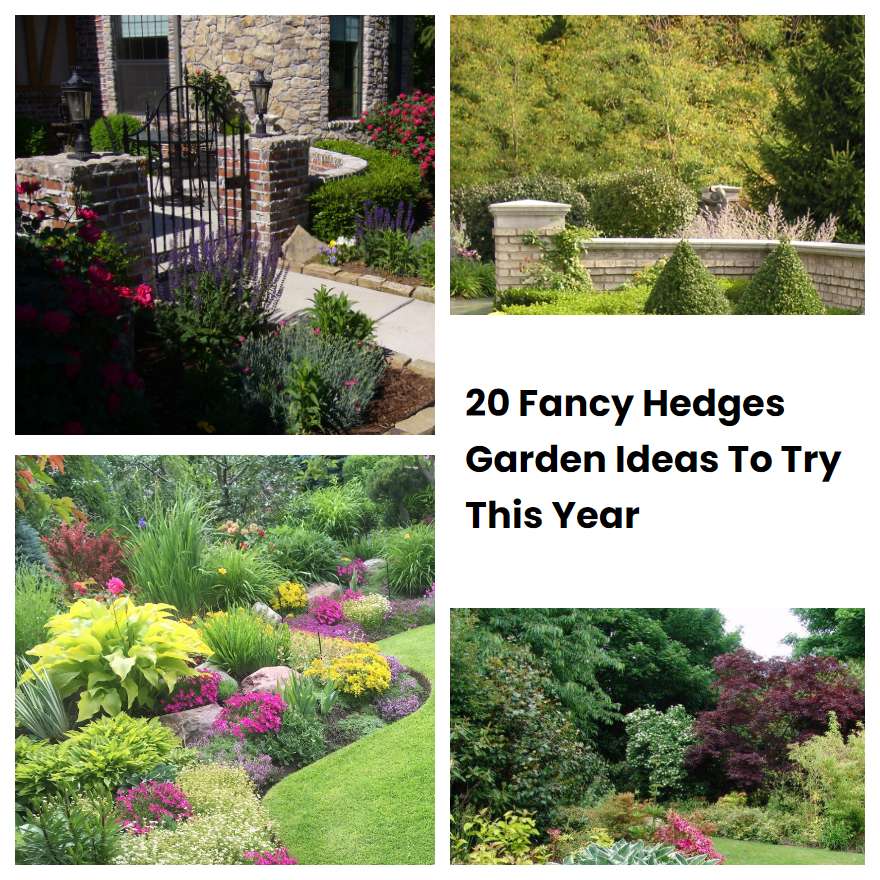20 Fancy Hedges Garden Ideas To Try This Year | SharonSable