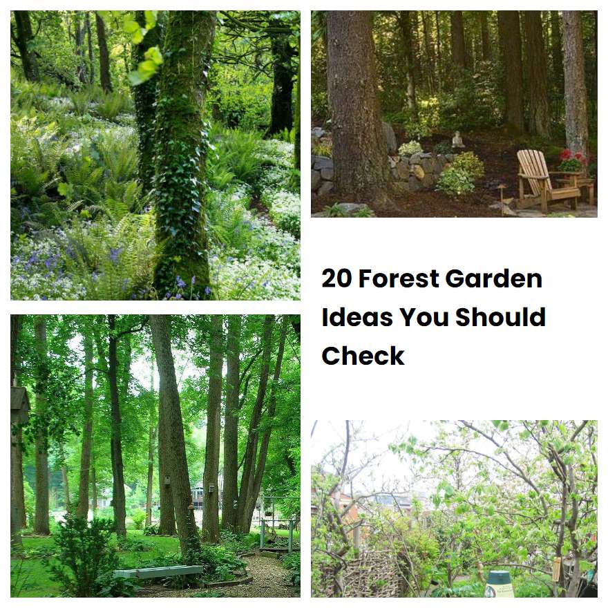 20 Forest Garden Ideas You Should Check | SharonSable