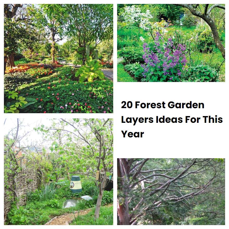 20 Forest Garden Layers Ideas For This Year | SharonSable