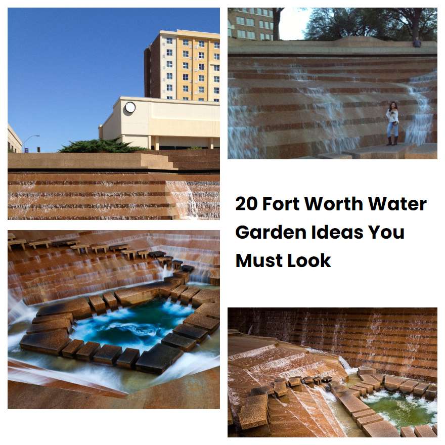 20 Fort Worth Water Garden Ideas You Must Look | SharonSable