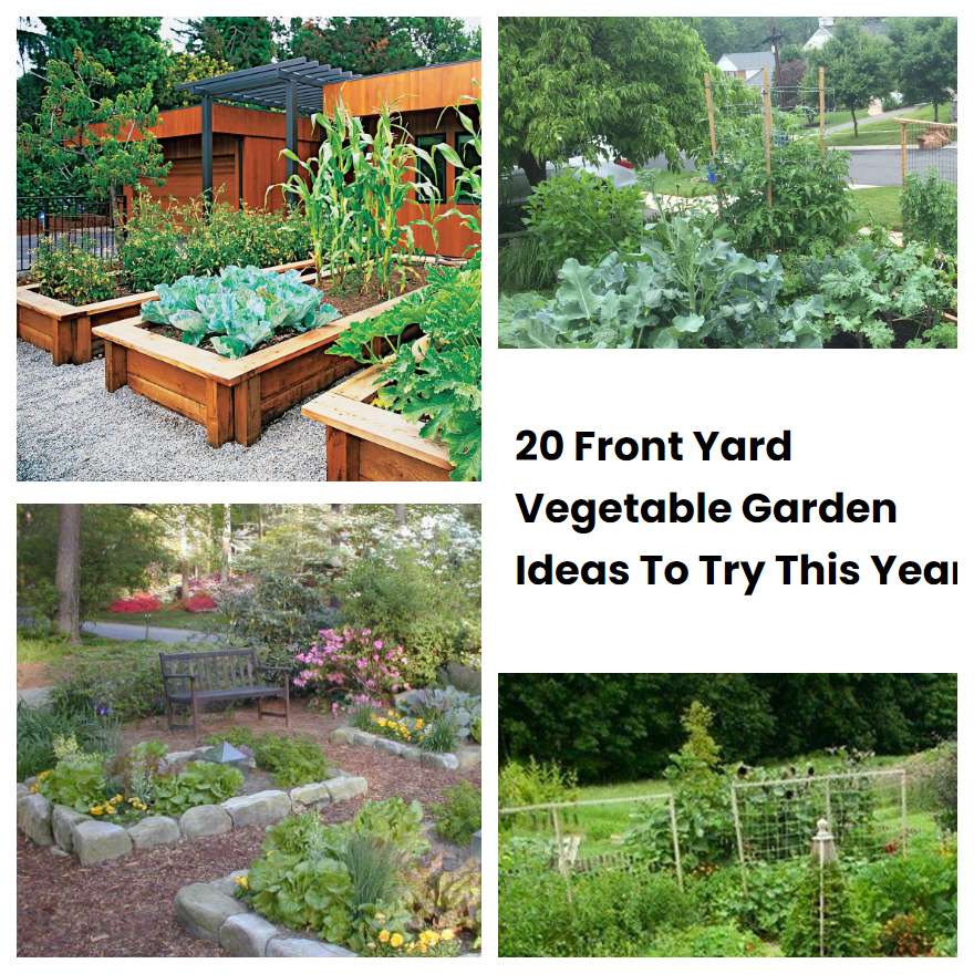 20 Front Yard Vegetable Garden Ideas To Try This Year Sharonsable