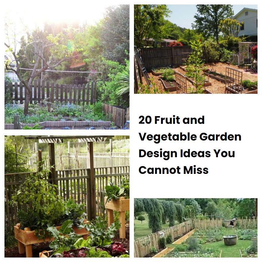 20 Fruit and Vegetable Garden Design Ideas You Cannot Miss | SharonSable