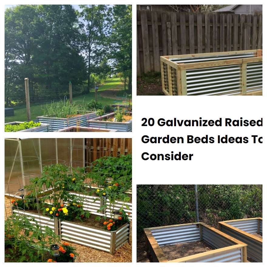 20 Galvanized Raised Garden Beds Ideas To Consider | SharonSable