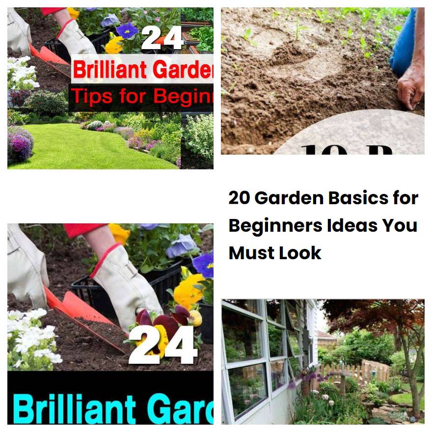 20 Garden Basics for Beginners Ideas You Must Look | SharonSable