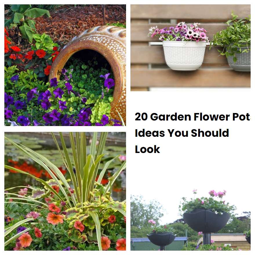20 Garden Flower Pots Ideas You Should Look | SharonSable