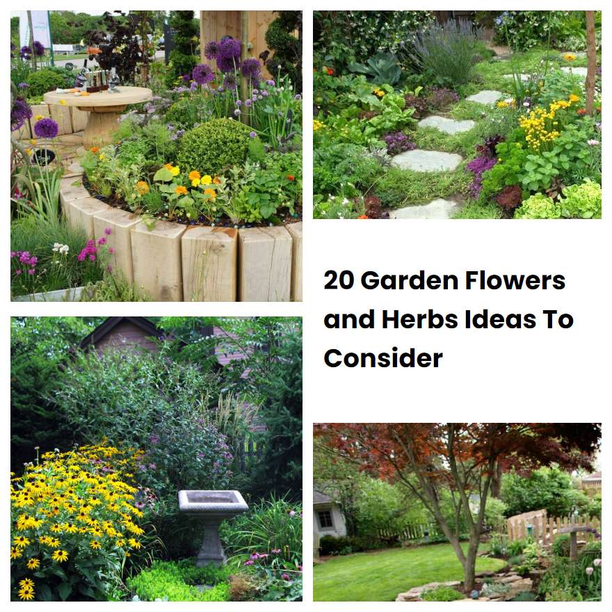 20 Garden Flowers and Herbs Ideas To Consider | SharonSable