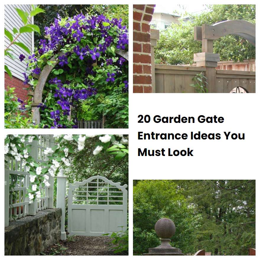 17 Missouri Botanical Garden Plant Finder Ideas You Cannot Miss ...