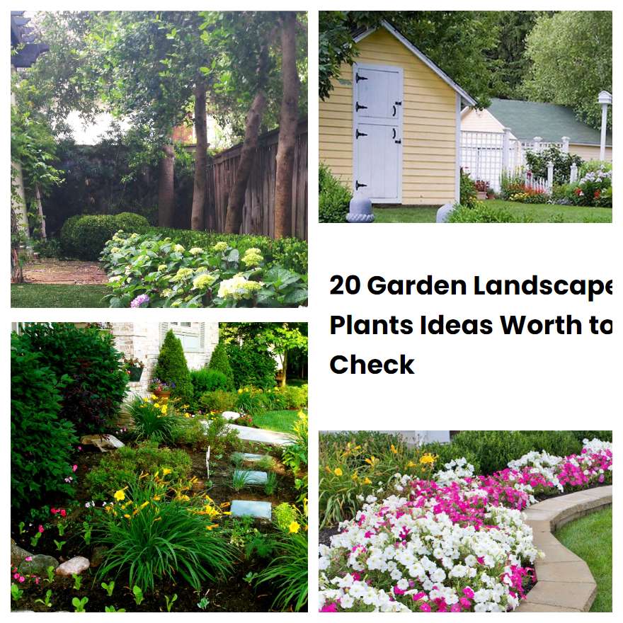 20 Garden Landscape Plants Ideas Worth to Check | SharonSable