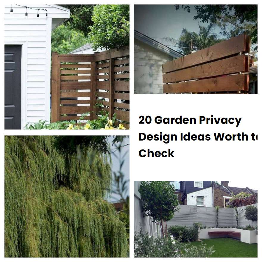 20 Garden Privacy Design Ideas Worth to Check | SharonSable
