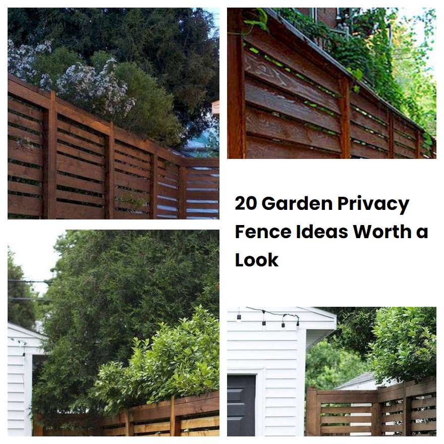 20 Garden Privacy Fence Ideas Worth a Look | SharonSable