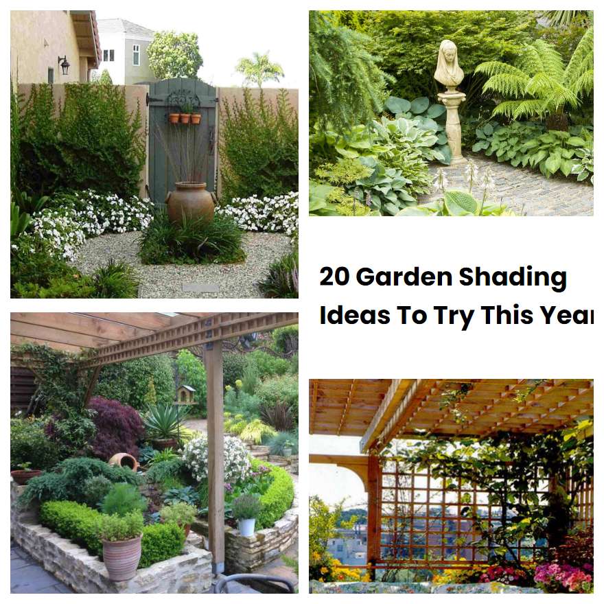 20 Garden Shading Ideas To Try This Year | SharonSable