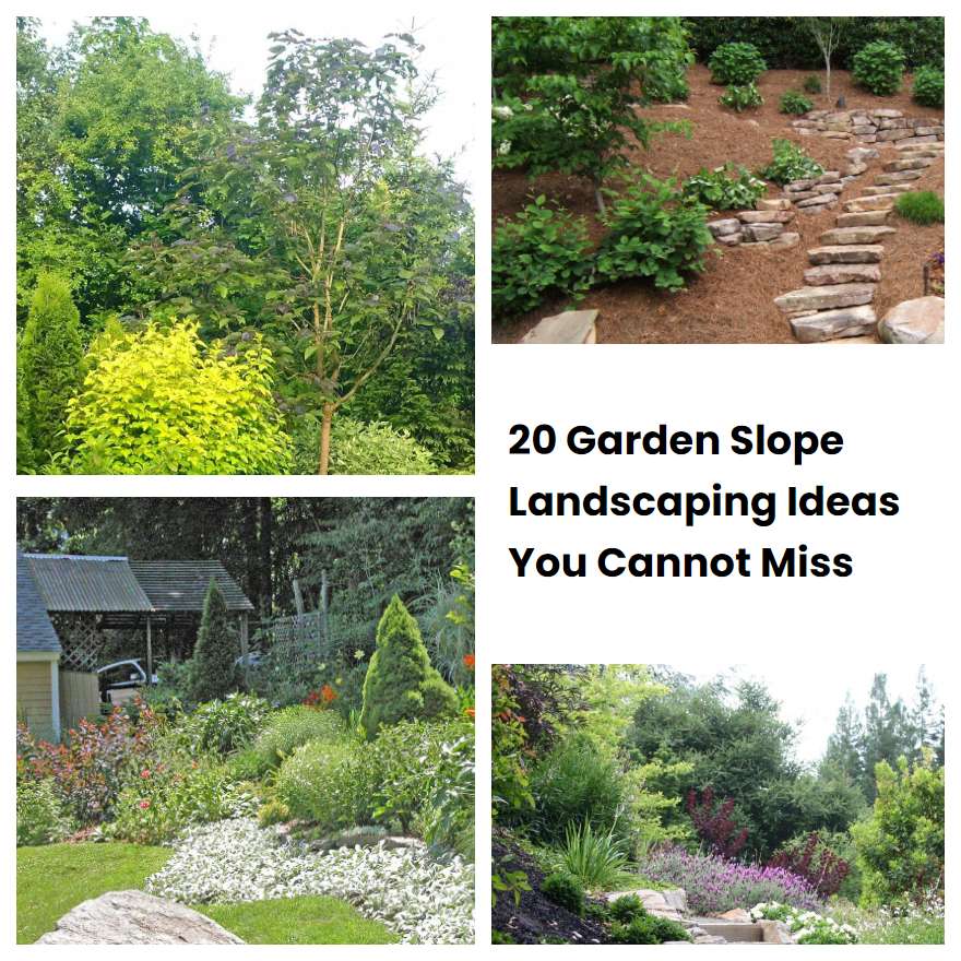 20 Garden Slope Landscaping Ideas You Cannot Miss | SharonSable