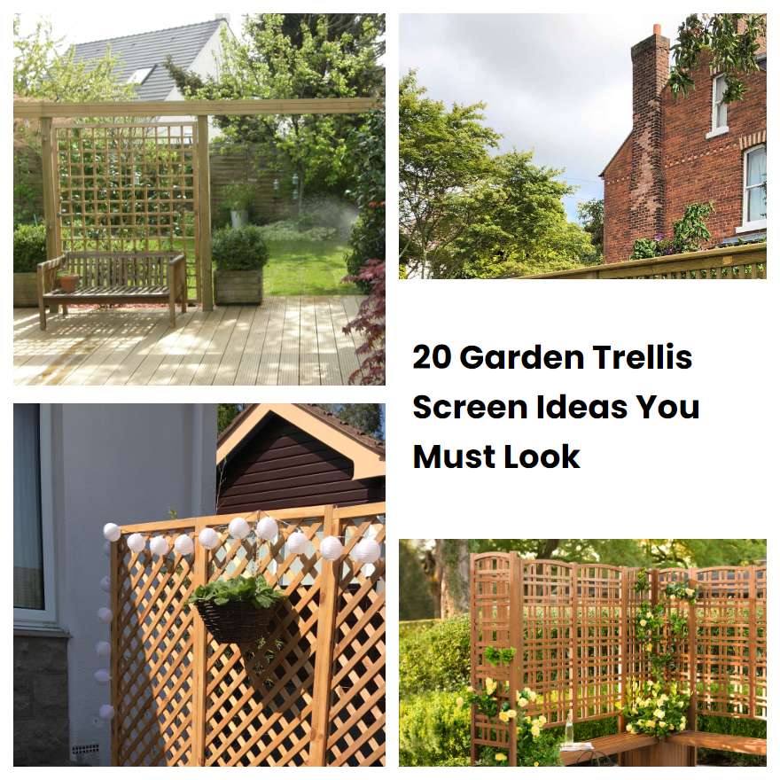 20 Garden Trellis Screen Ideas You Must Look | SharonSable