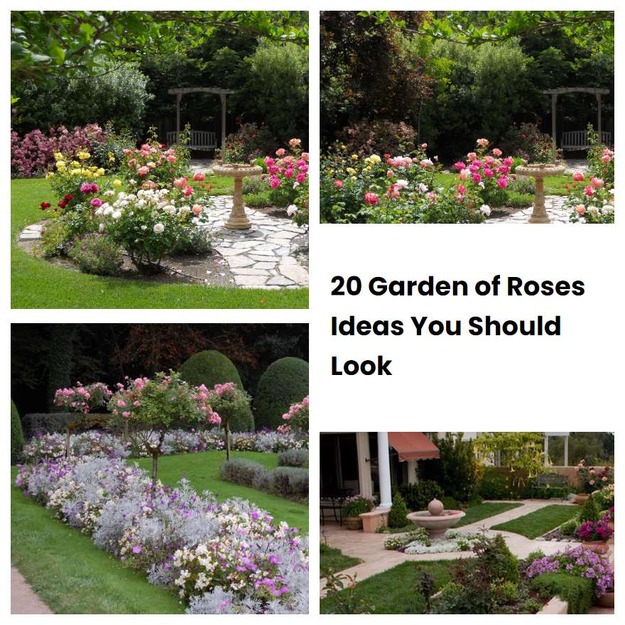 20 Garden of Roses Ideas You Should Look | SharonSable