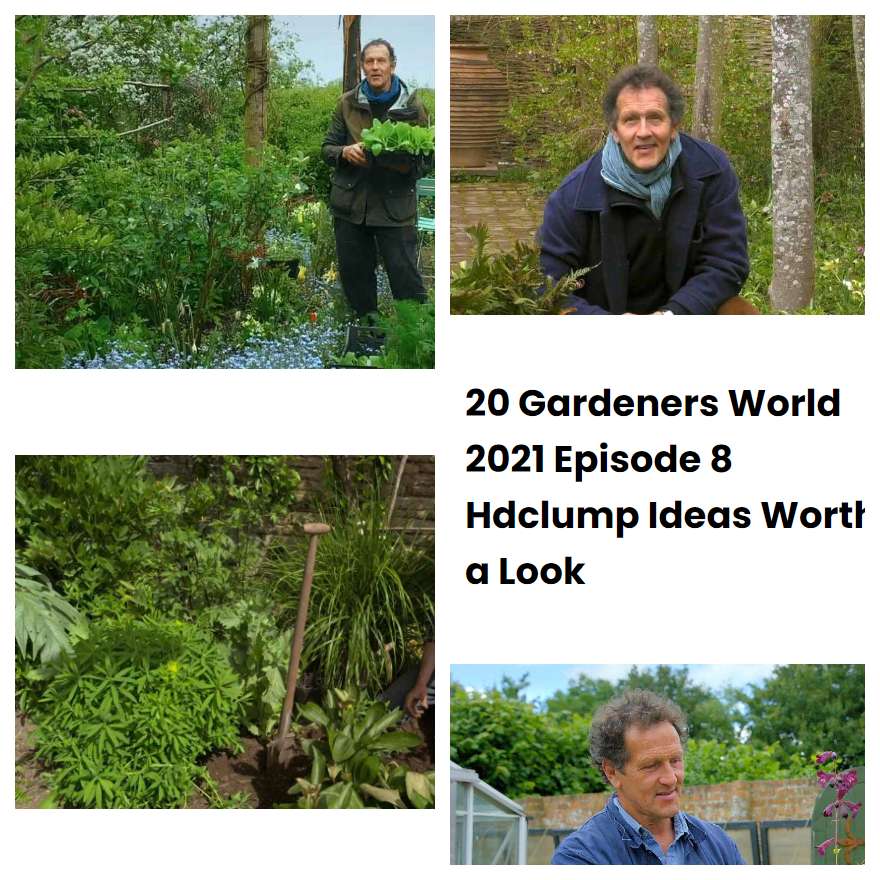 20 Gardeners World 2021 Episode 8 Hdclump Ideas Worth a Look | SharonSable