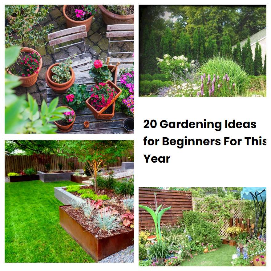 20 Gardening Ideas for Beginners For This Year | SharonSable