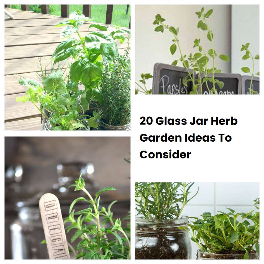 20 Glass Jar Herb Garden Ideas To Consider | SharonSable