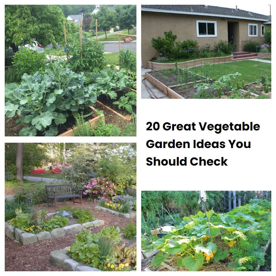 20 Great Vegetable Garden Ideas You Should Check | SharonSable
