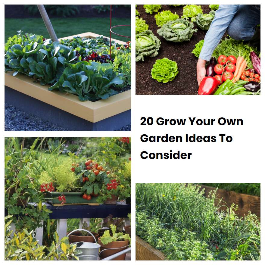 20 Grow Your Own Garden Ideas To Consider | SharonSable