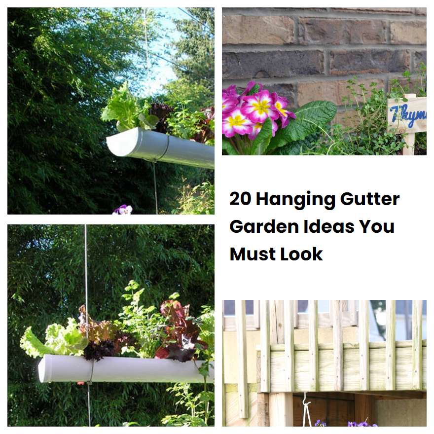 20 Hanging Gutter Garden Ideas You Must Look | SharonSable