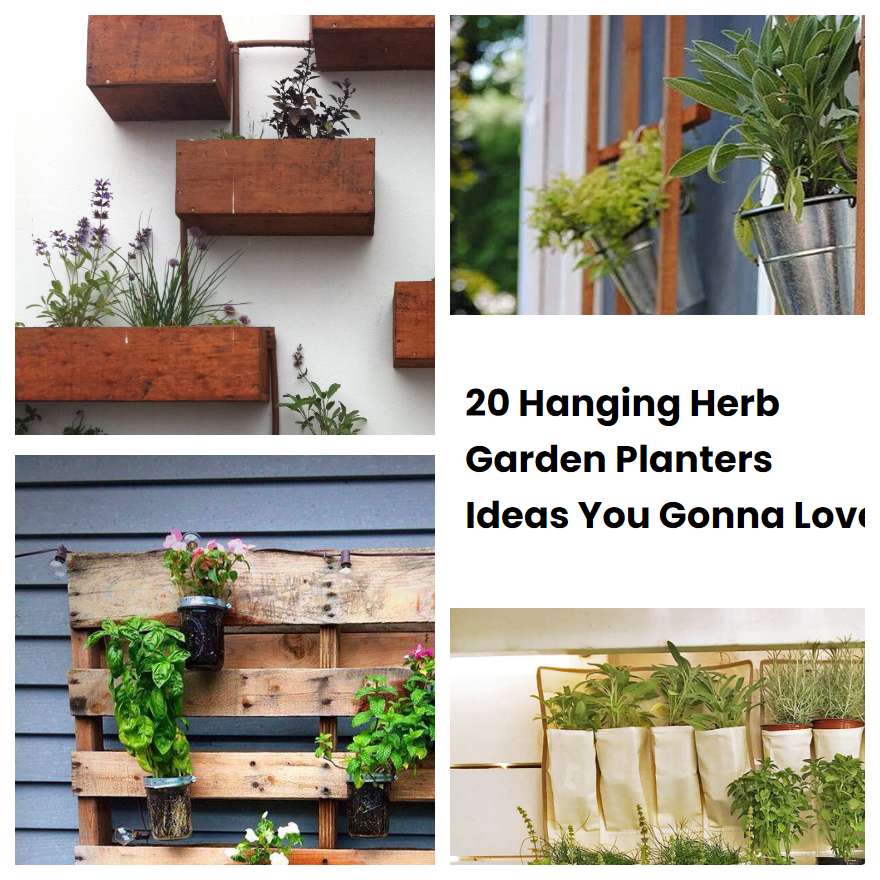 20 Hanging Herb Garden Planters Ideas You Gonna Love | SharonSable