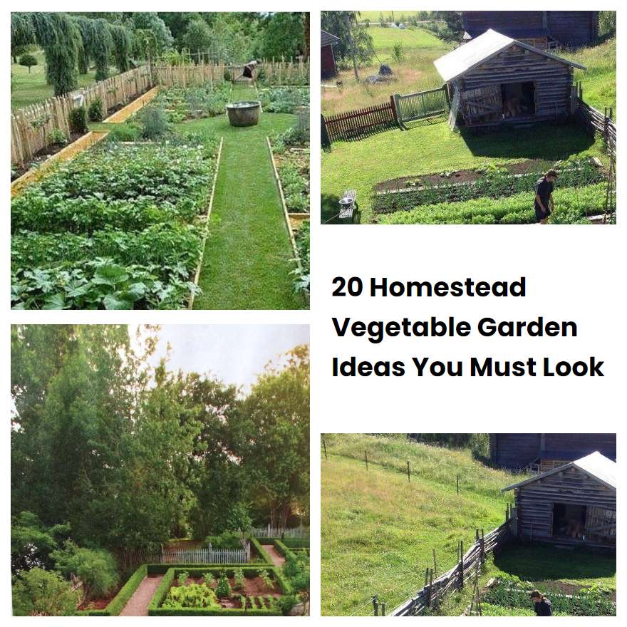20 Homestead Vegetable Garden Ideas You Must Look Sharonsable
