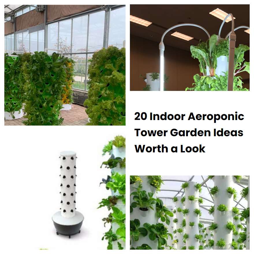 20 Indoor Aeroponic Tower Garden Ideas Worth a Look | SharonSable