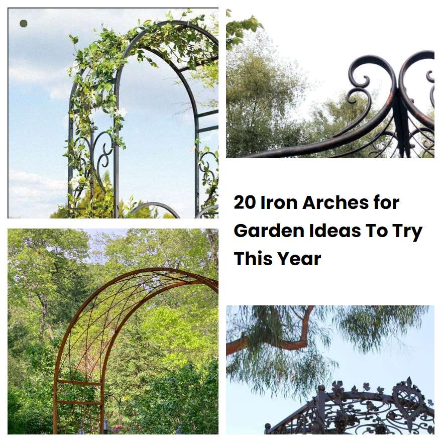 20 Iron Arches for Garden Ideas To Try This Year | SharonSable
