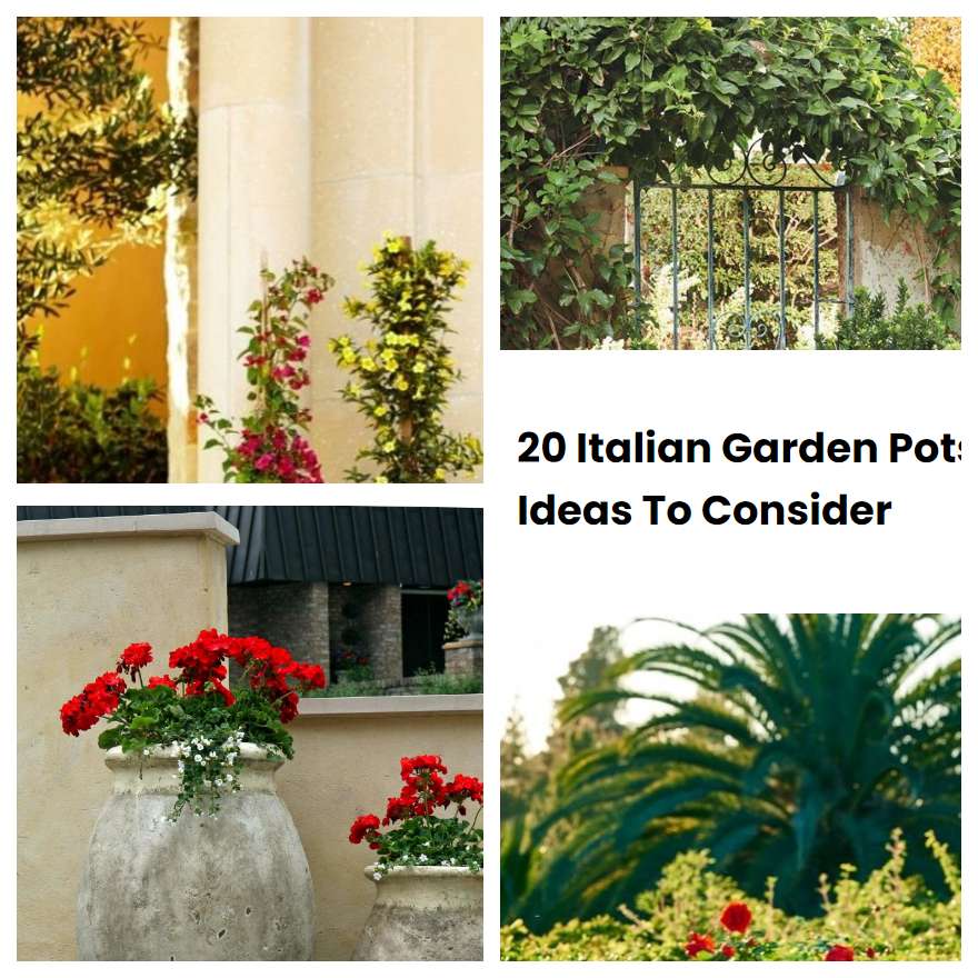 20 Italian Garden Pots Ideas To Consider | SharonSable
