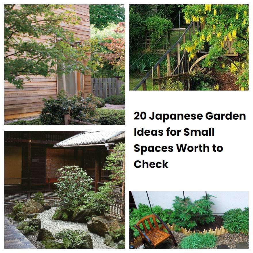 20 Japanese Garden Ideas for Small Spaces Worth to Check | SharonSable