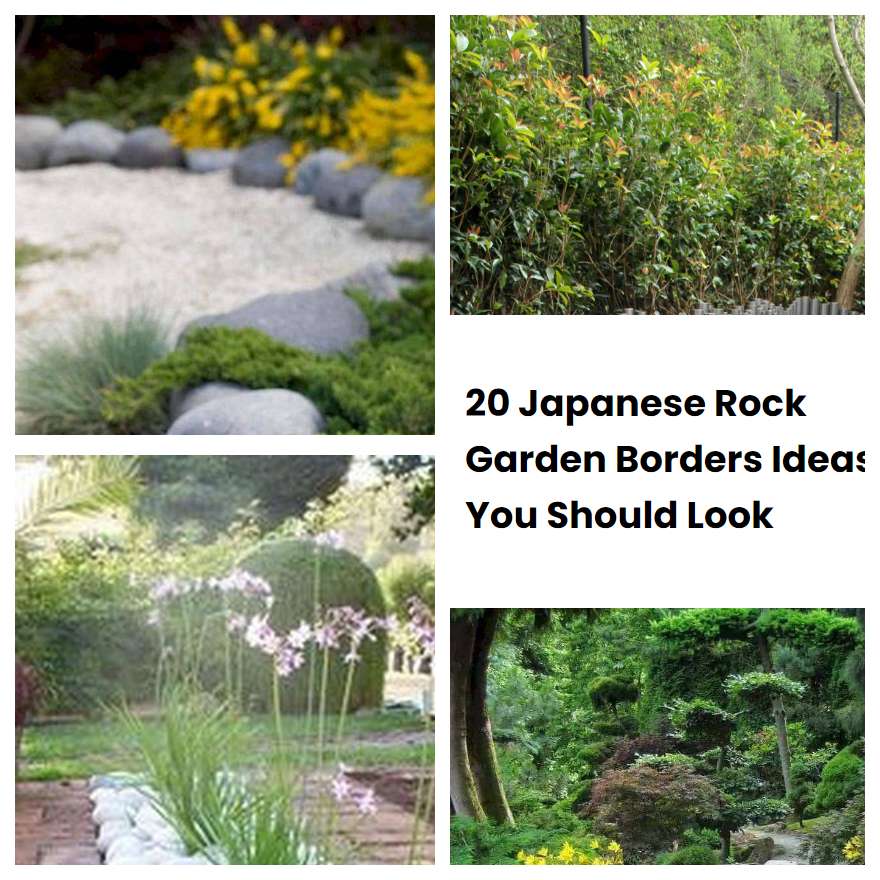 20 Japanese Rock Garden Borders Ideas You Should Look | SharonSable