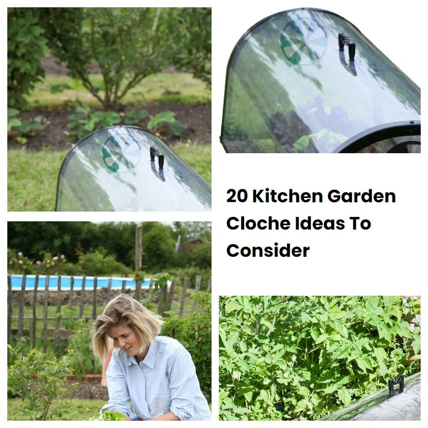 20 Kitchen Garden Cloche Ideas To Consider | SharonSable