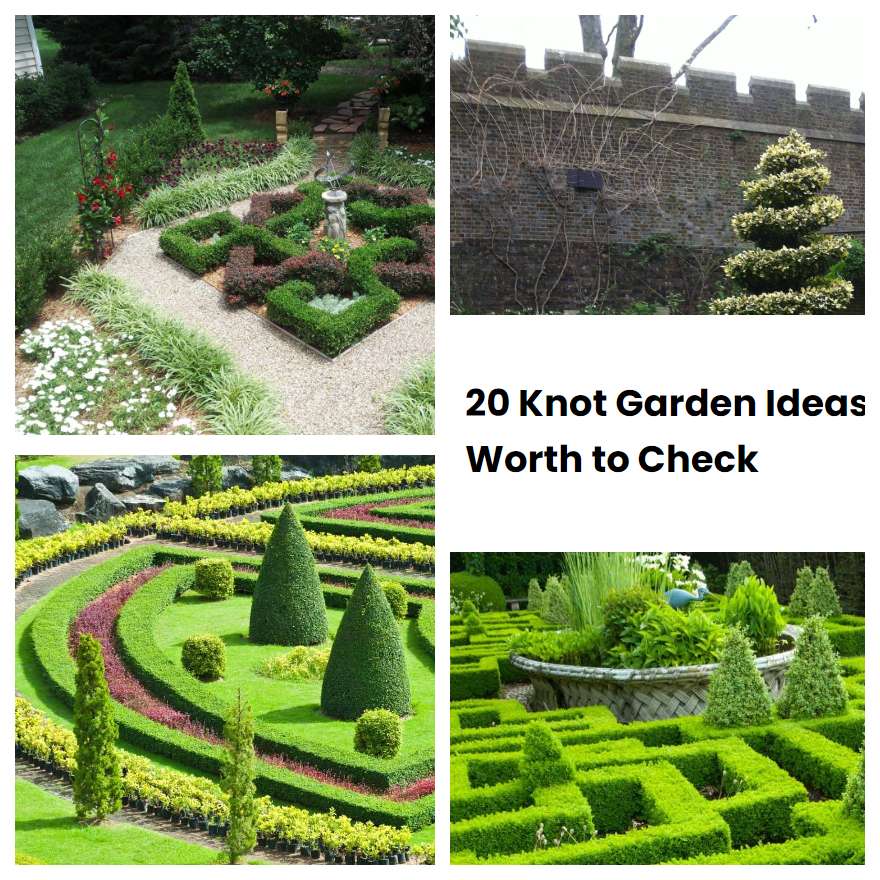 20 Knot Garden Ideas Worth to Check | SharonSable