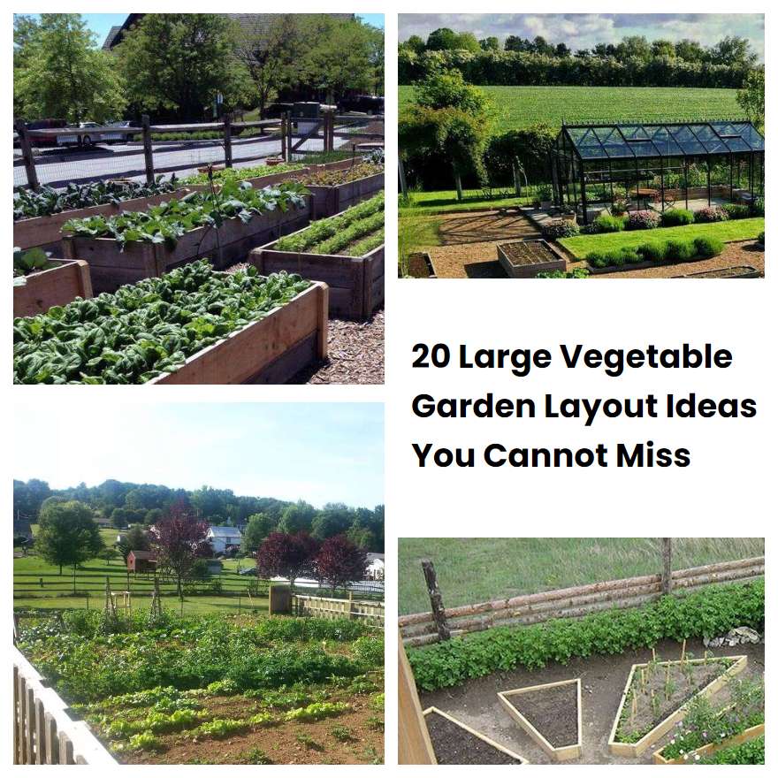 20 Large Vegetable Garden Layout Ideas You Cannot Miss | SharonSable