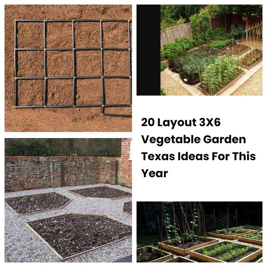 20 Layout 3X6 Vegetable Garden Texas Ideas For This Year | SharonSable