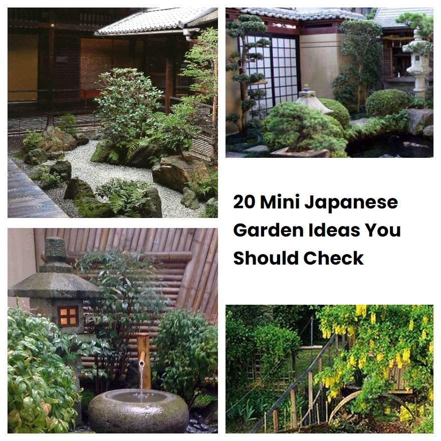 20 Mini Japanese Garden Ideas You Should Check | SharonSable