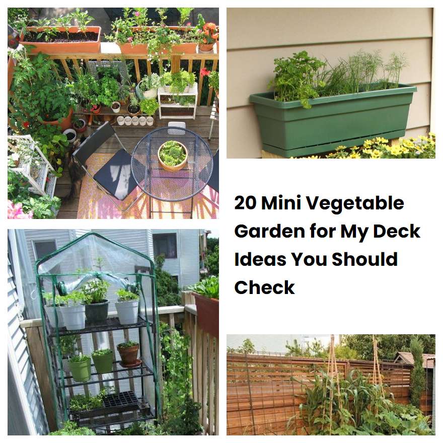 20 Mini Vegetable Garden for My Deck Ideas You Should Check | SharonSable