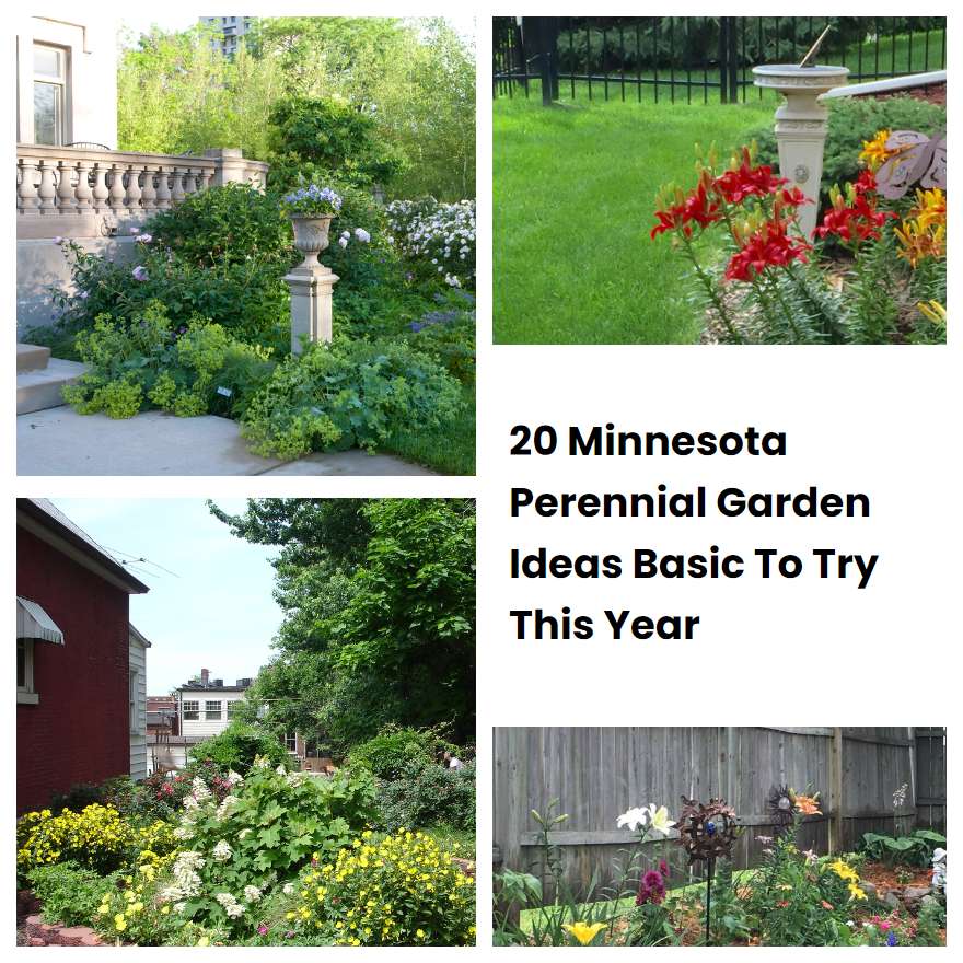 20 Minnesota Perennial Garden Ideas Basic To Try This Year | SharonSable