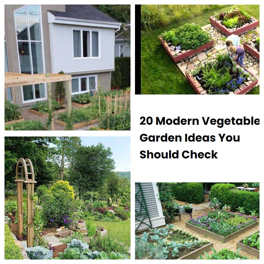 20 Modern Vegetable Garden Ideas You Should Check | SharonSable