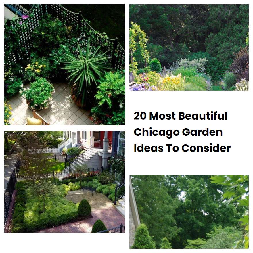 20 Most Beautiful Chicago Garden Ideas To Consider | SharonSable