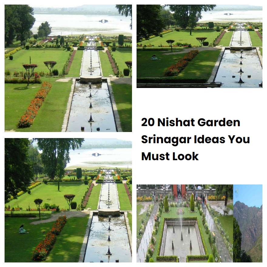 20 Nishat Garden Srinagar Ideas You Must Look | SharonSable