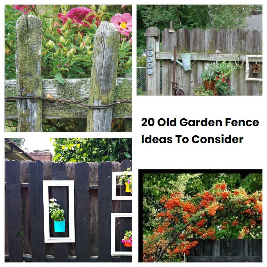 20 Old Garden Fence Ideas To Consider | SharonSable