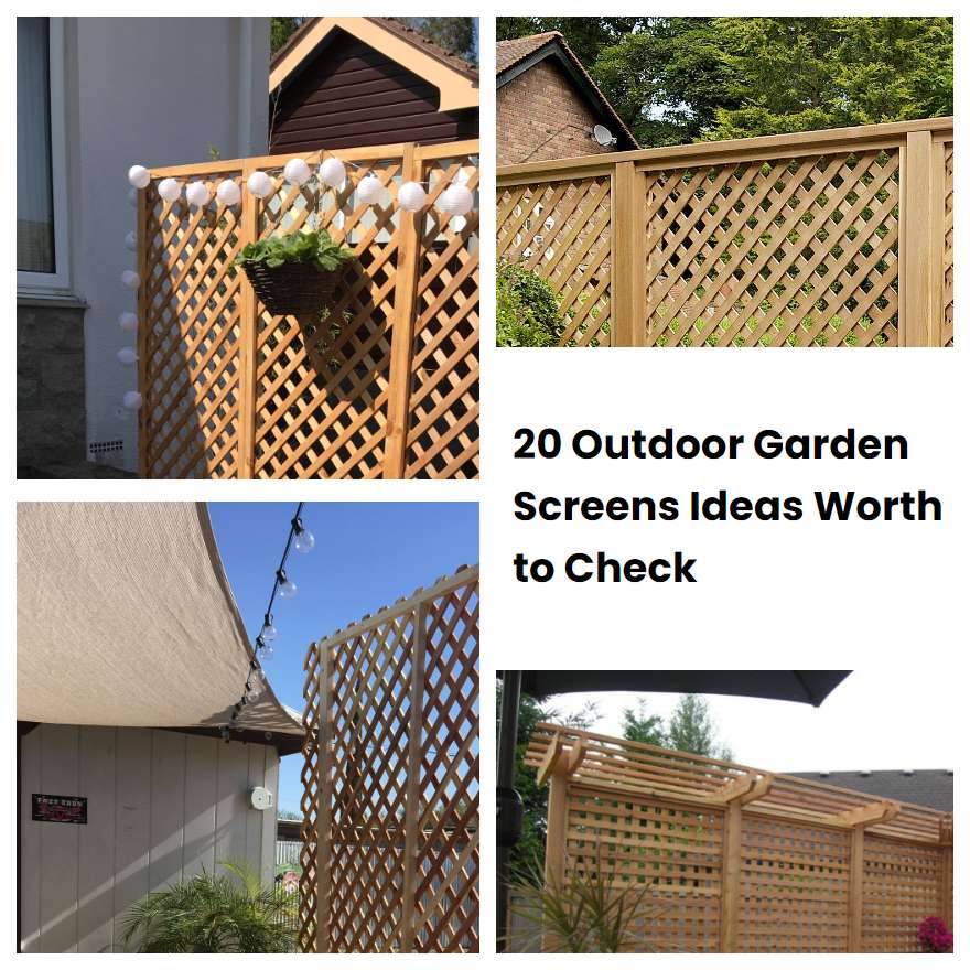 20 Outdoor Garden Screens Ideas Worth to Check | SharonSable