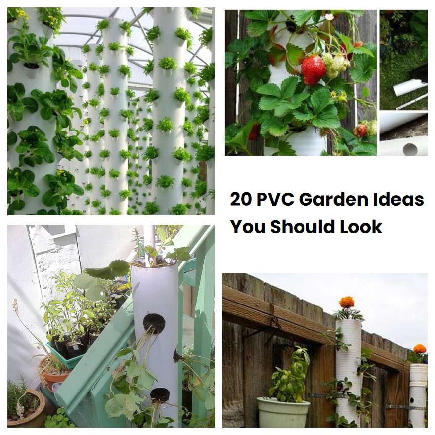 20 PVC Garden Ideas You Should Look | SharonSable