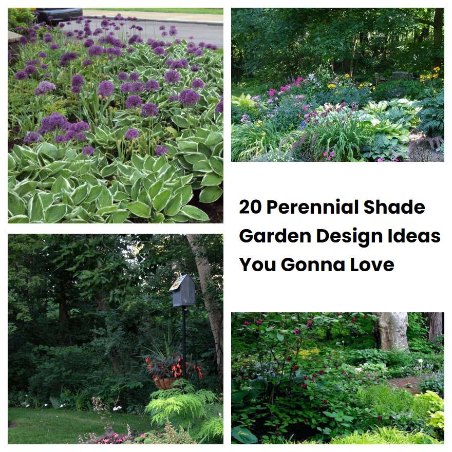 20 Perennial Shade Garden Design Ideas You Gonna Love | SharonSable