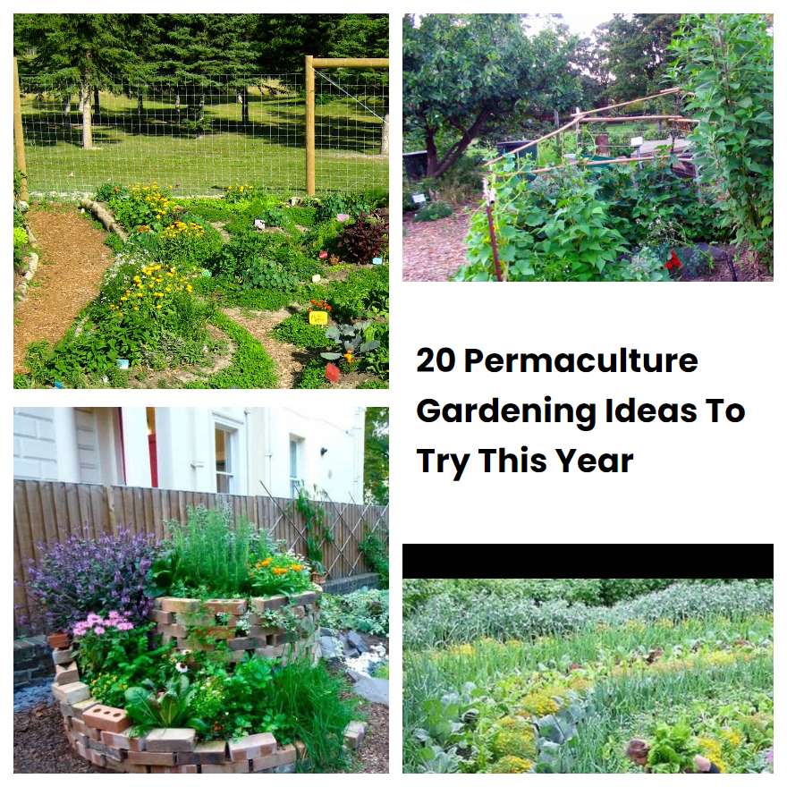 20 Permaculture Gardening Ideas To Try This Year | SharonSable
