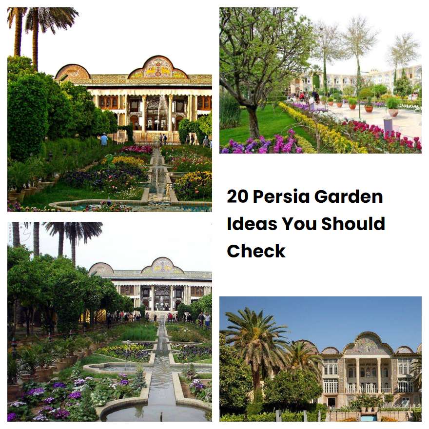 20 Persia Garden Ideas You Should Check | SharonSable