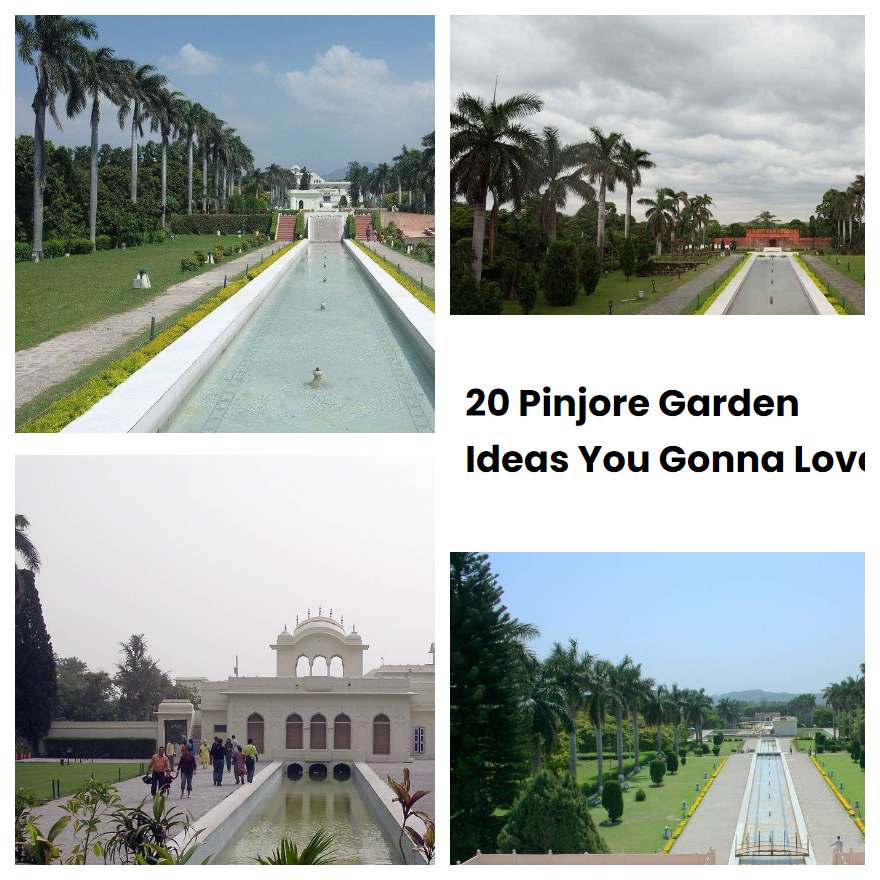 20 Pinjore Garden Ideas You Gonna Love | SharonSable